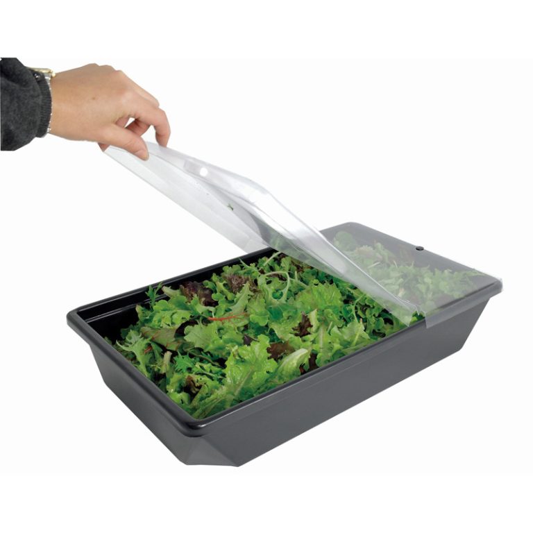 Self closing lid Tub Lid - Clear - Fresh Produce Displays